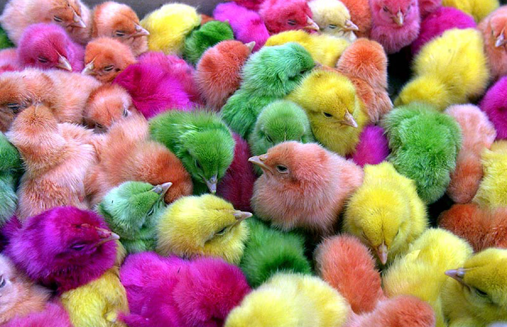 Happy-Easter - West Penetone Canada